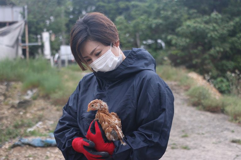 一流シェフが惚れ込む、幻の卵「たまゆら琥珀」とは？ | アーバンライフメトロ - URBAN LIFE METRO